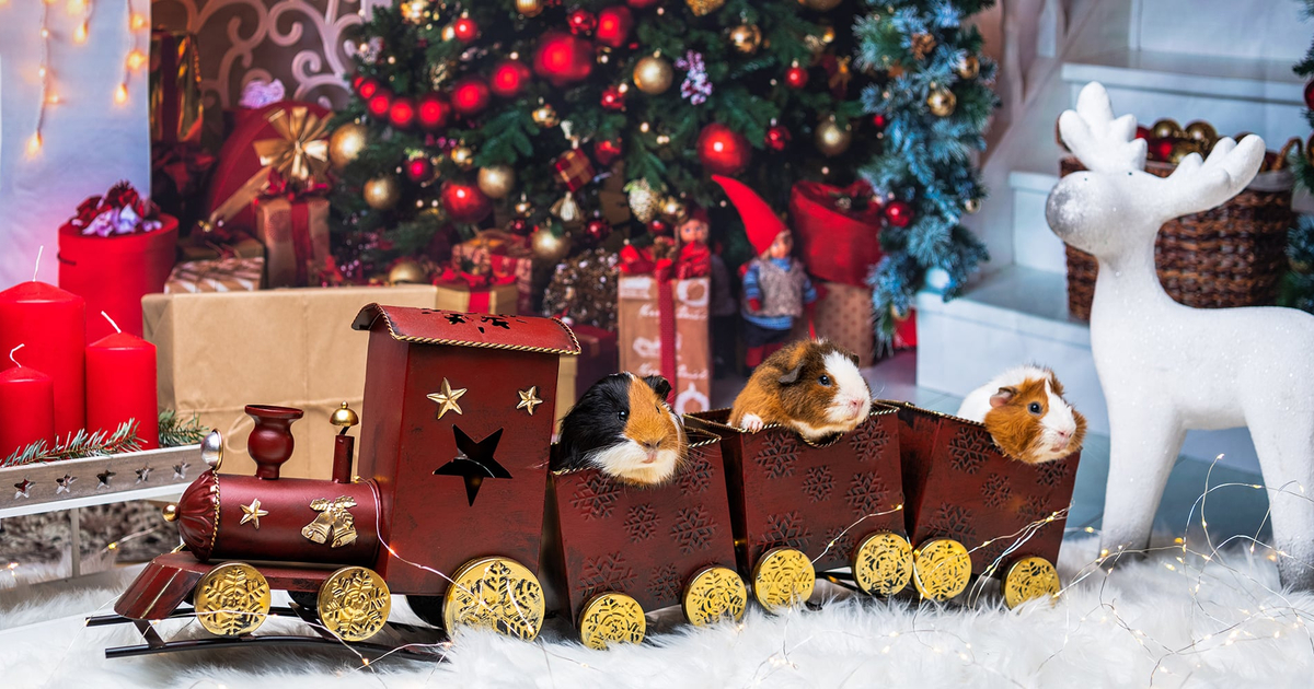 40+ Questions de Noël Tu Préfères ? pour S'amuser